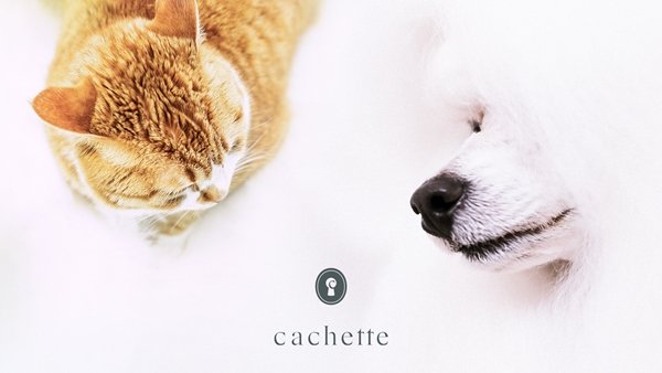 会員制サイト「cachette」のオフィシャルブランドになりました | 日本ペットシッターサービス