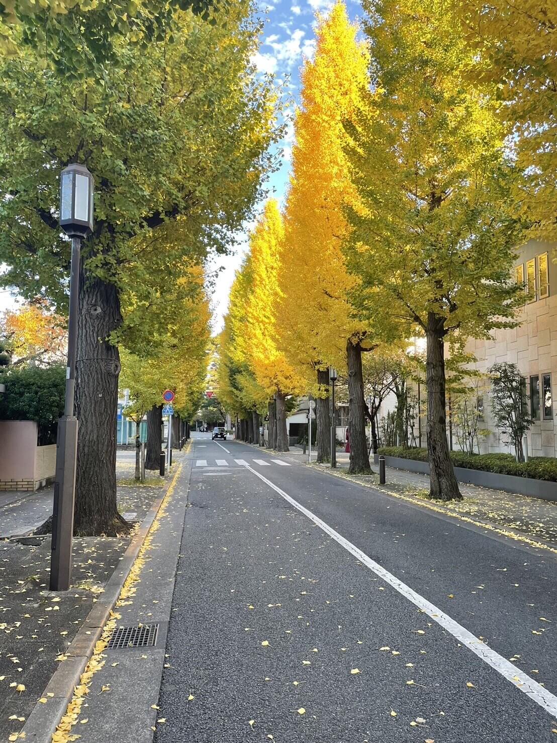 本日開業！ | PAL JOY／日本ペットシッターサービス成城店（世田谷区、調布市、狛江市）