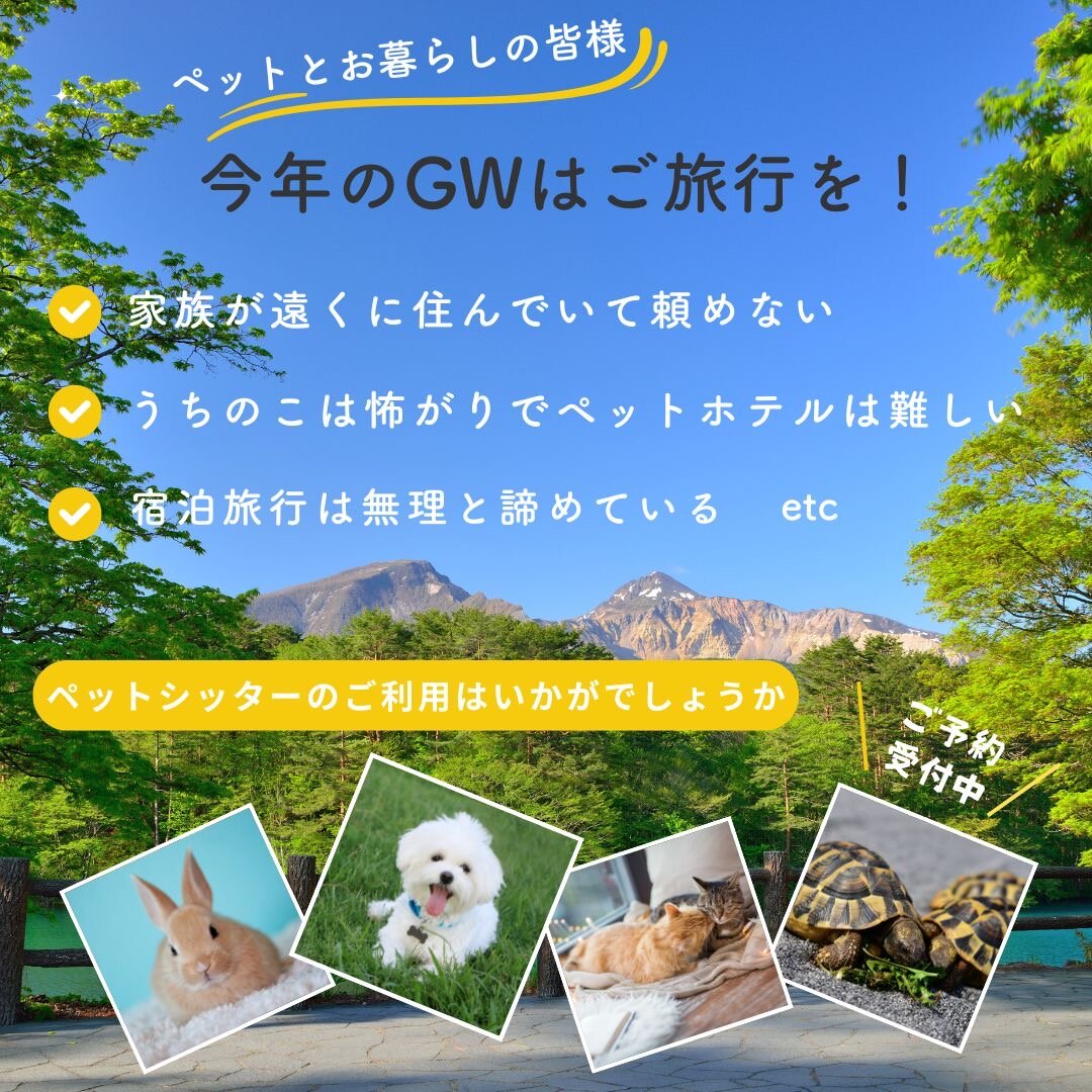 G．Wはぜひお任せを | PAL JOY／日本ペットシッターサービス成城店（世田谷区、調布市、狛江市）