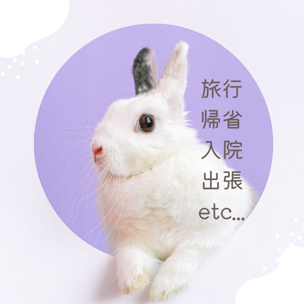 どんな時に利用できるの？ | PAL JOY／日本ペットシッターサービス成城店（世田谷区、調布市、狛江市）