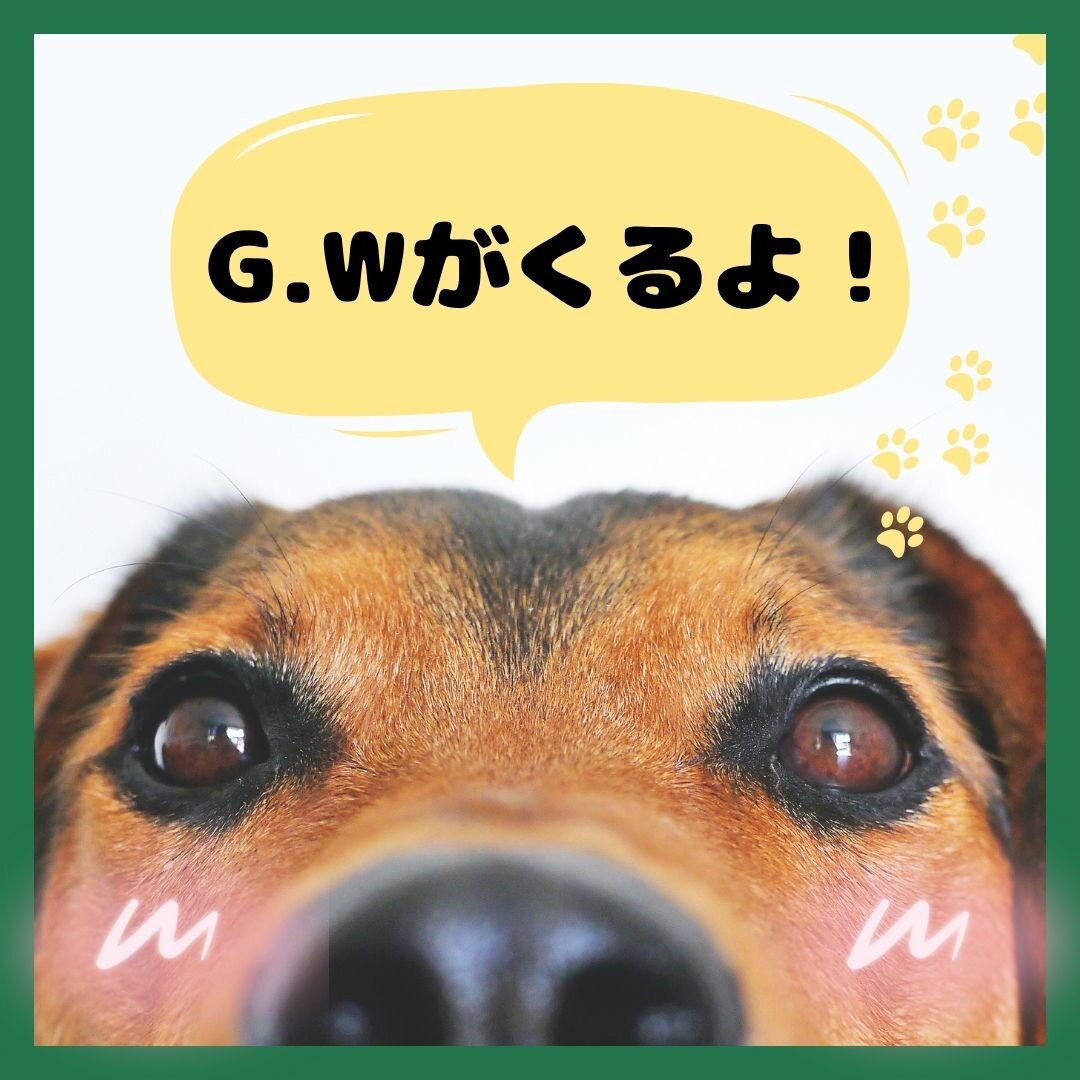 G.Wの予定はお決まりですか？ | PAL JOY／日本ペットシッターサービス成城店（世田谷区、調布市、狛江市）