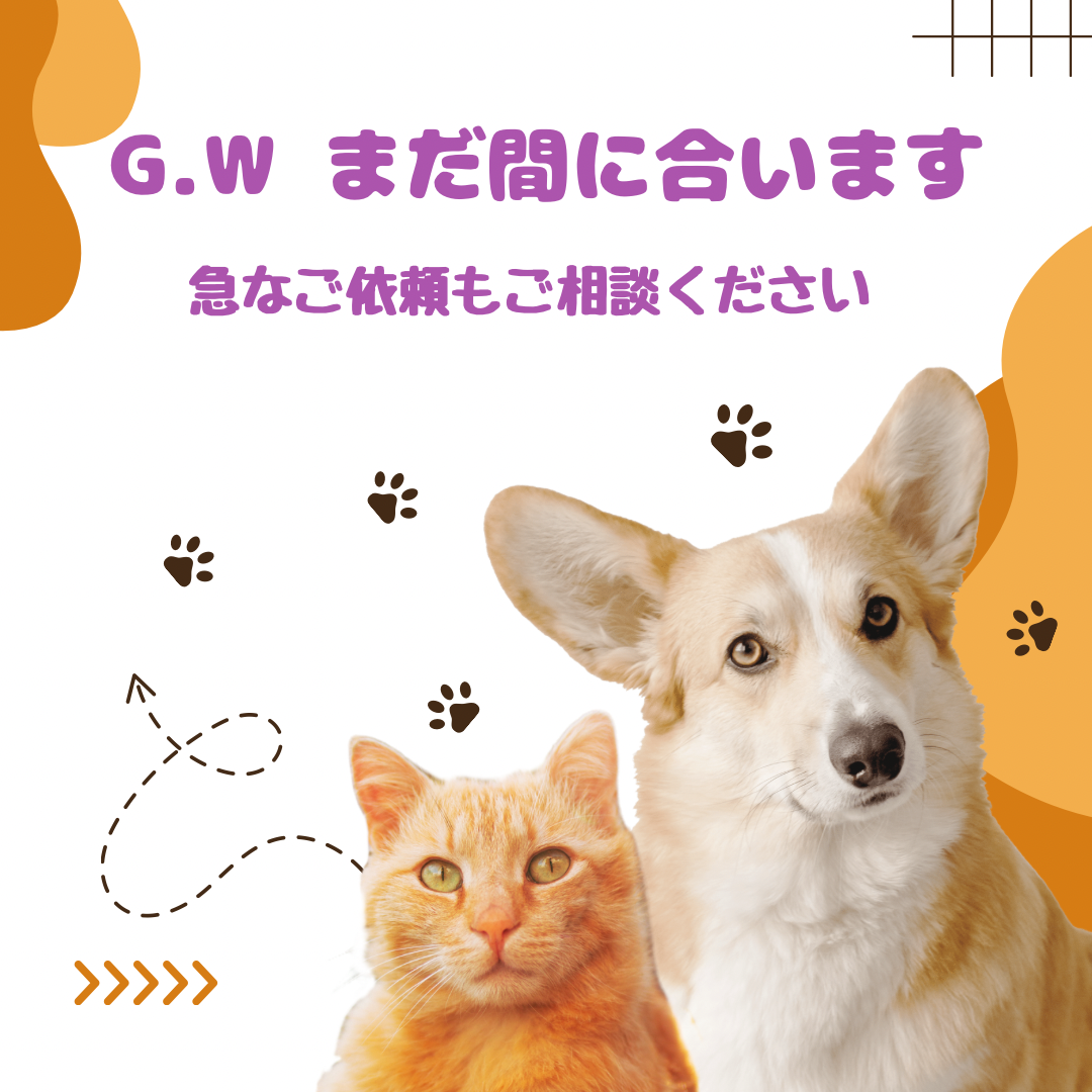 G.Wまだ空きあります！ | PAL JOY／日本ペットシッターサービス成城店（世田谷区、調布市、狛江市）