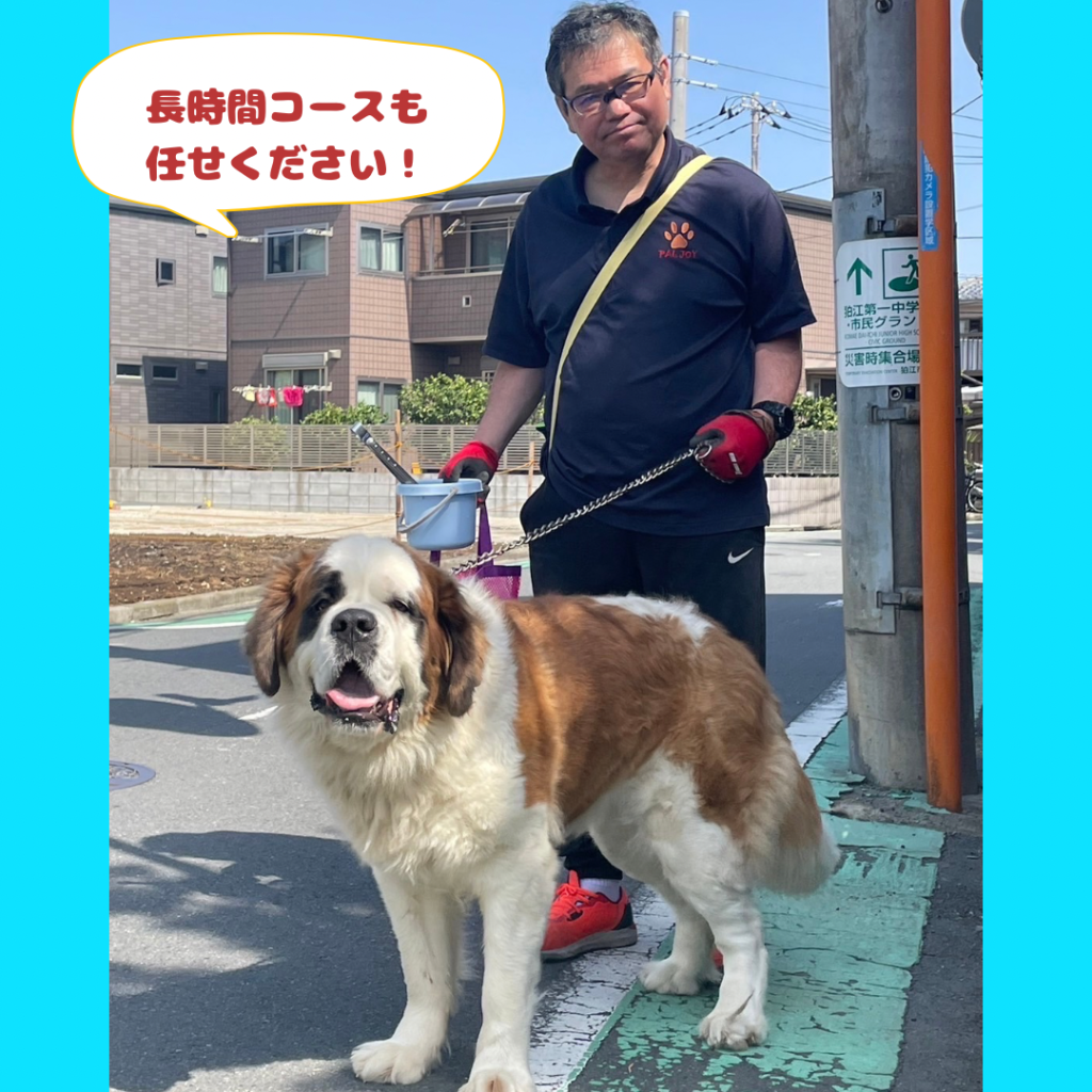 超大型犬歓迎です！ | PAL JOY／日本ペットシッターサービス成城店（世田谷区、調布市、狛江市）
