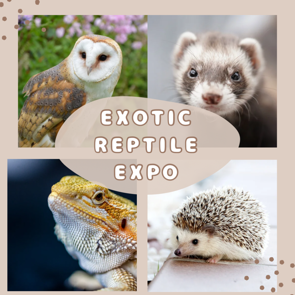 エキゾチックレポタイルエキスポ！ | PAL JOY／日本ペットシッターサービス成城店（世田谷区、調布市、狛江市）