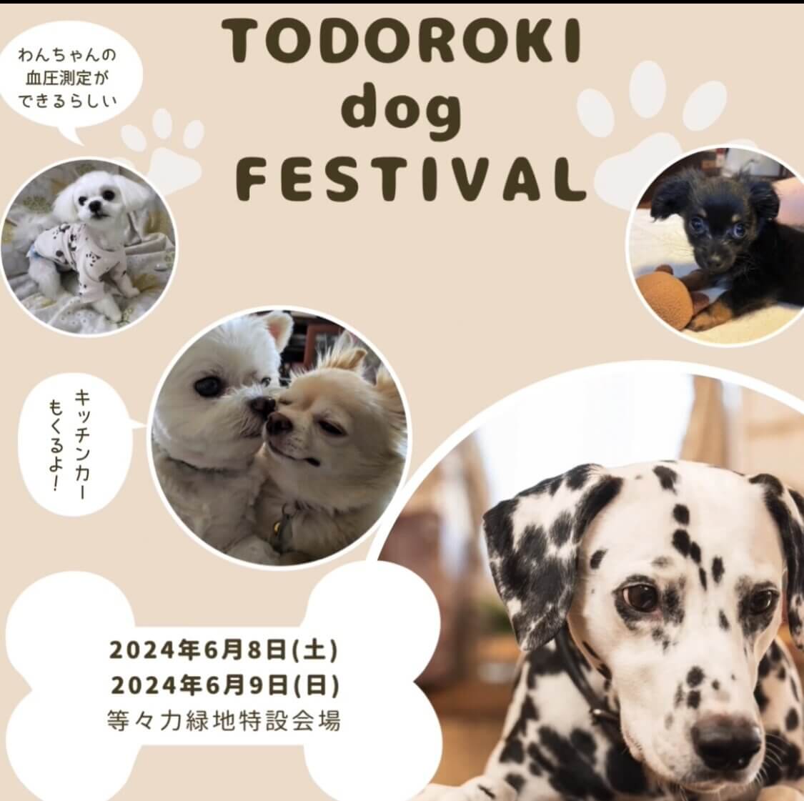 等々力ドッグフェスティバル！ | PAL JOY／日本ペットシッターサービス成城店（世田谷区、調布市、狛江市）