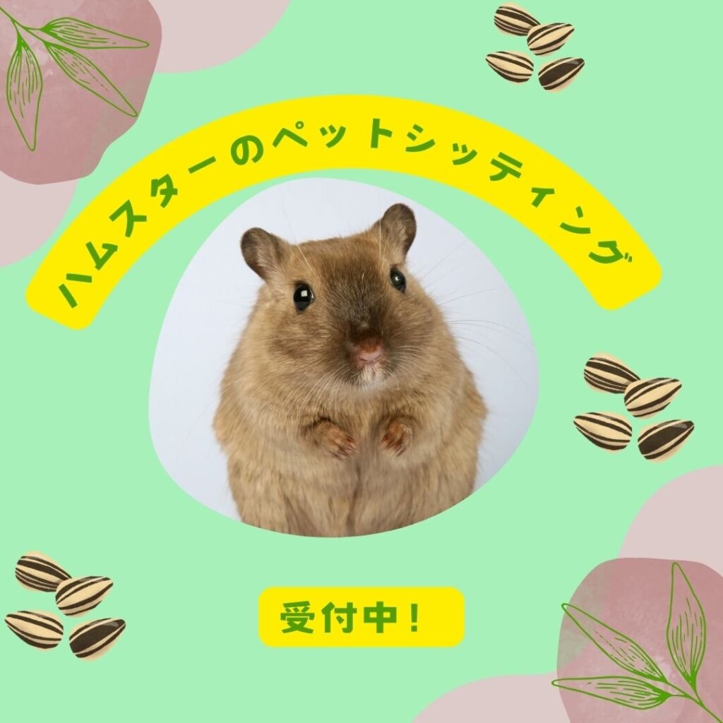 ハムスターのペットシッティング受付中 | PAL JOY／日本ペットシッターサービス成城店（世田谷区、調布市、狛江市）